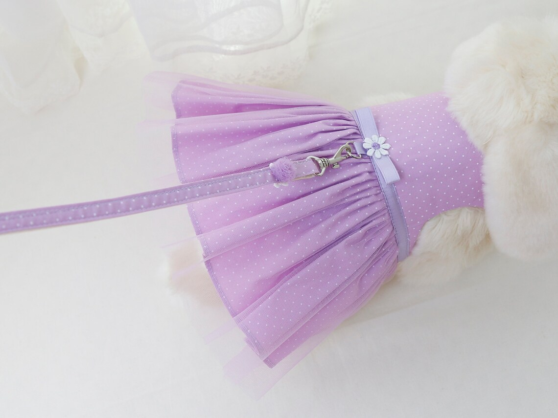 Mini Dot Pattern Harness for Only Rabbit Bunny Dress Harness | Etsy