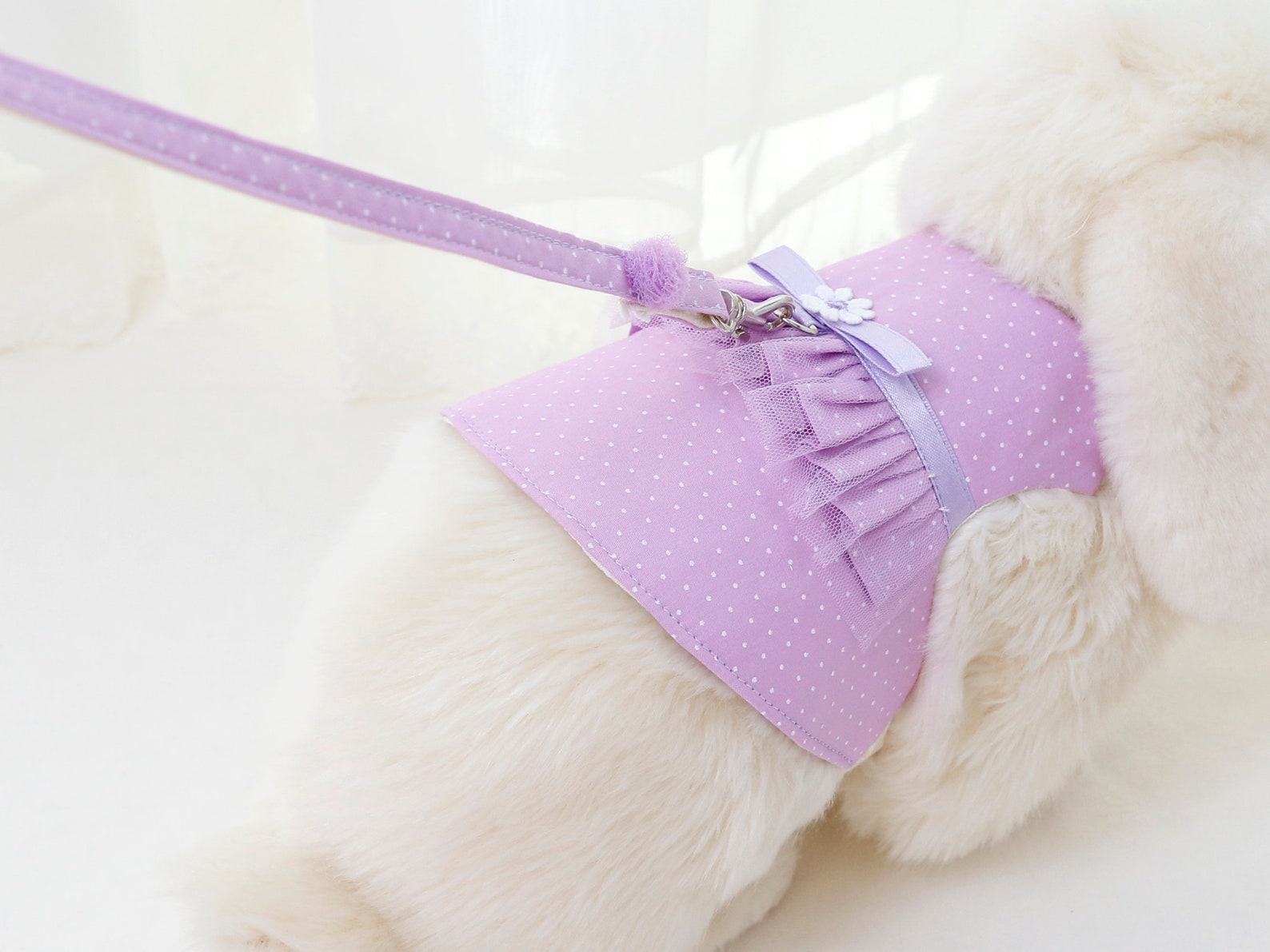 Mini Dot Pattern Harness for Only Rabbit Bunny Dress Harness - Etsy