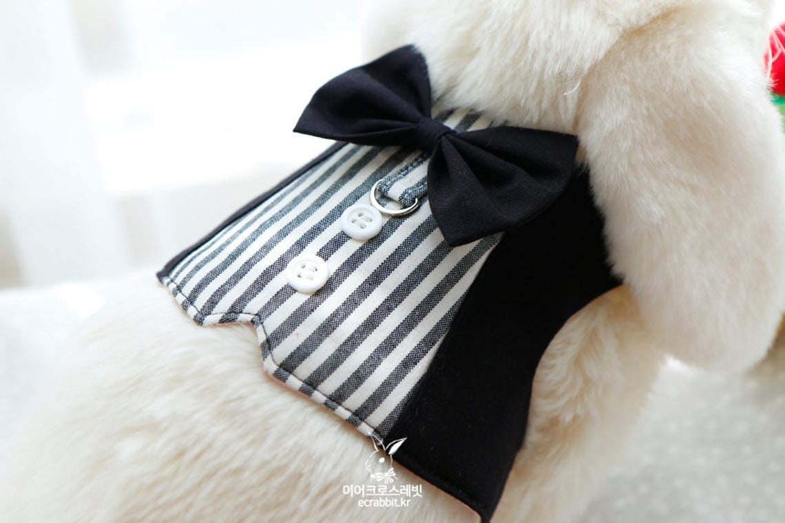 Stripe Harness for Only Rabbit vest Boy - Etsy