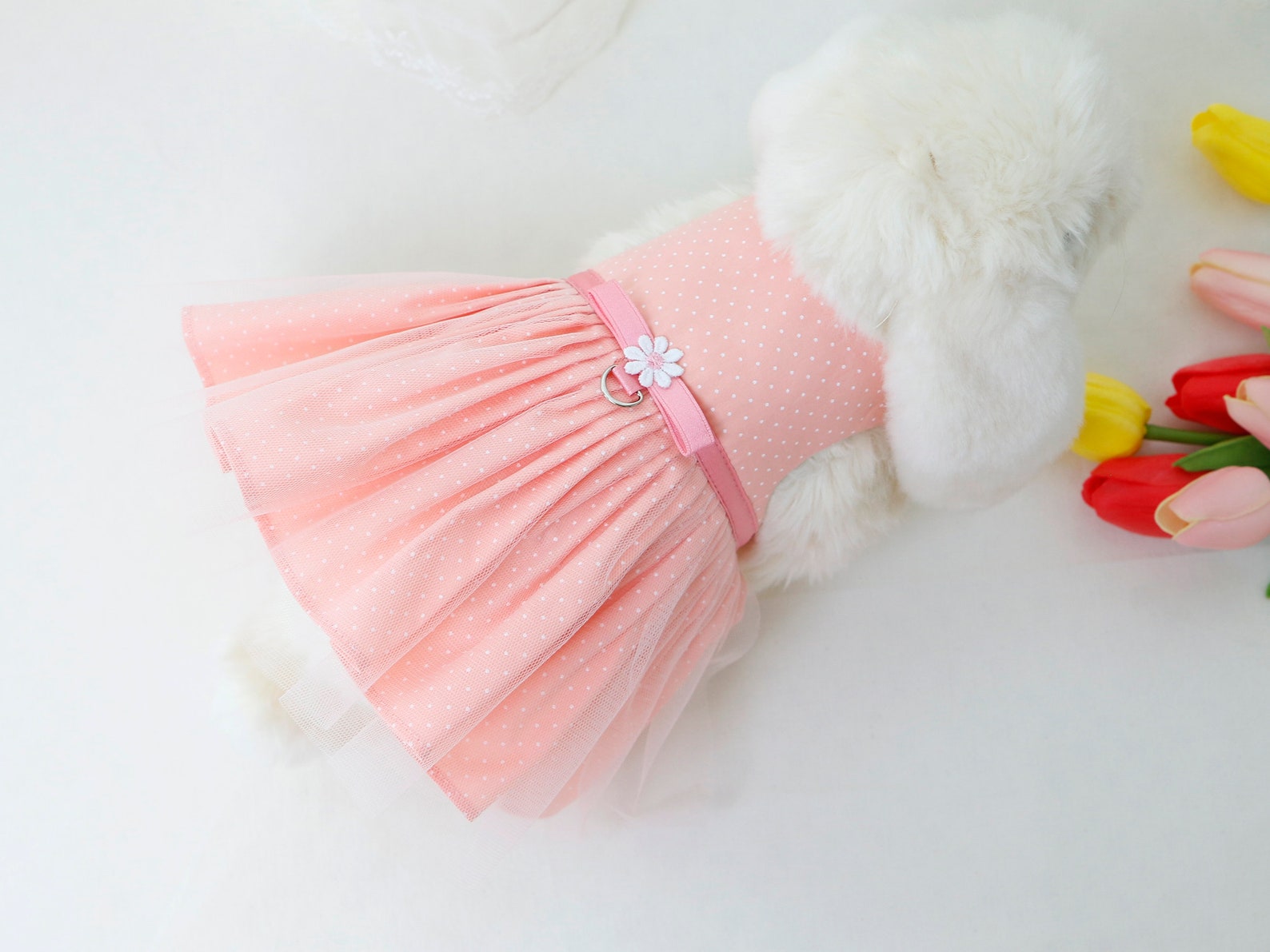 Mini Dot Pattern Harness for Only Rabbit Bunny, Dress Harness and Leash ...
