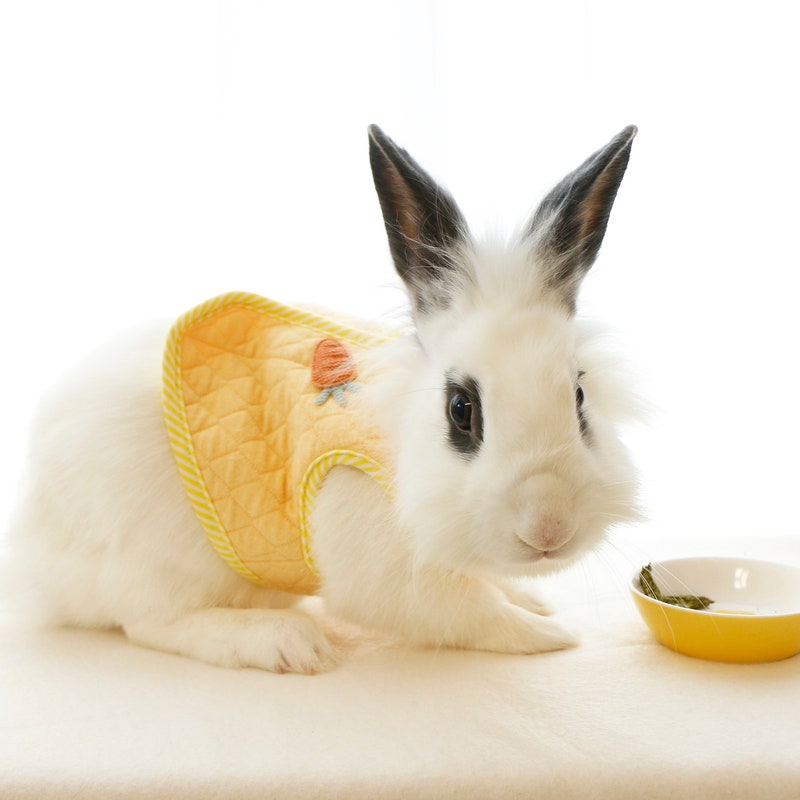 Pet Rabbit Clothing - Etsy