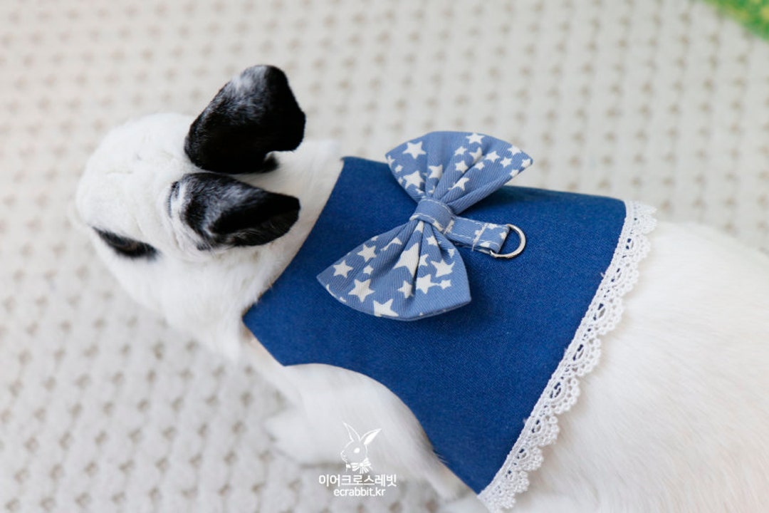 Denim Harness for Only Rabbit (blue Ribbon Vest) - Etsy