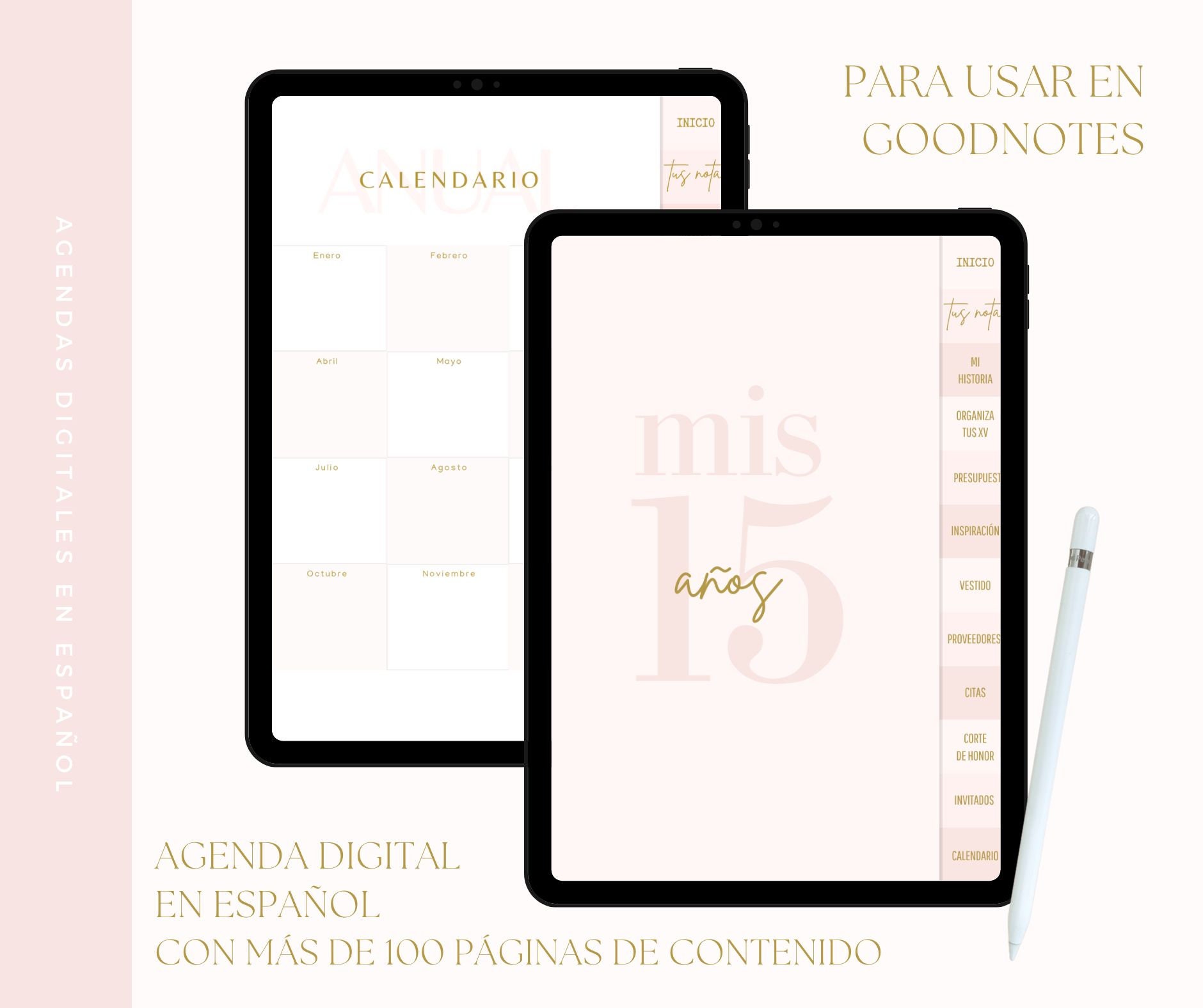 Agenda Digital Para Quinceañera En Español, Mis Quince Spanish Digital ...