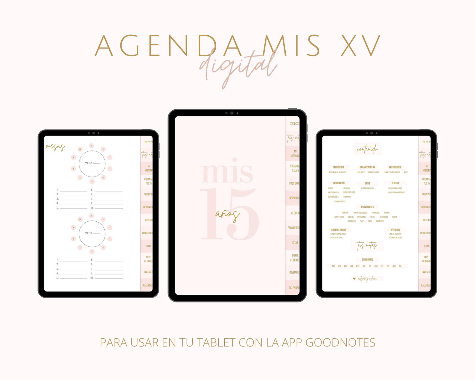Agenda Digital Para Quinceañera En Español, Mis Quince Spanish Digital ...