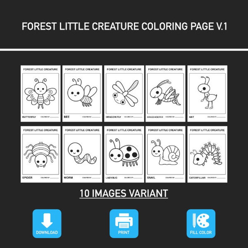 Forest Creatures Coloring Page: Educational Kids Activity (PNG, PDF) - Etsy