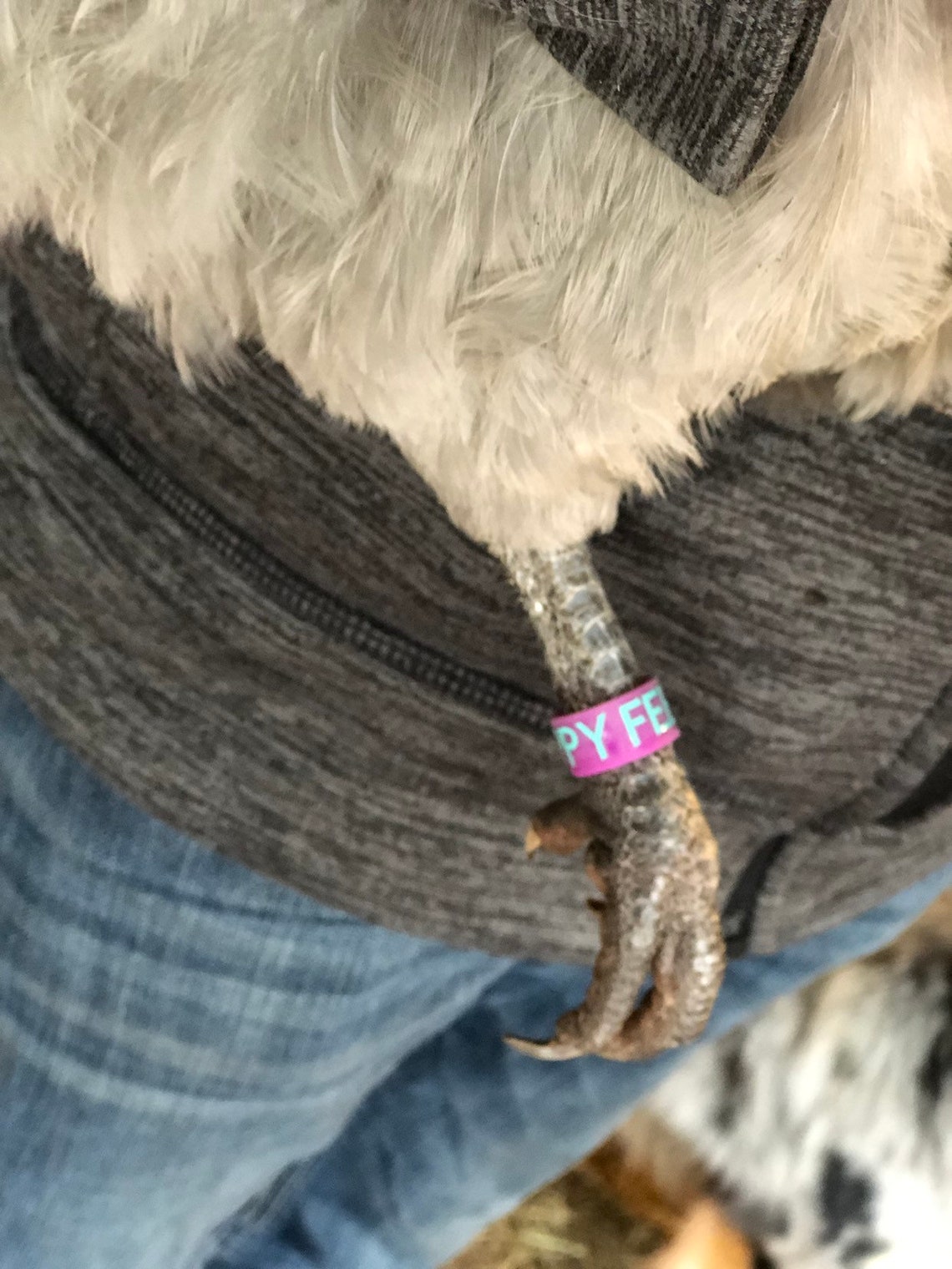 Chicken Name Tags chicken name band chicken bracelet | Etsy