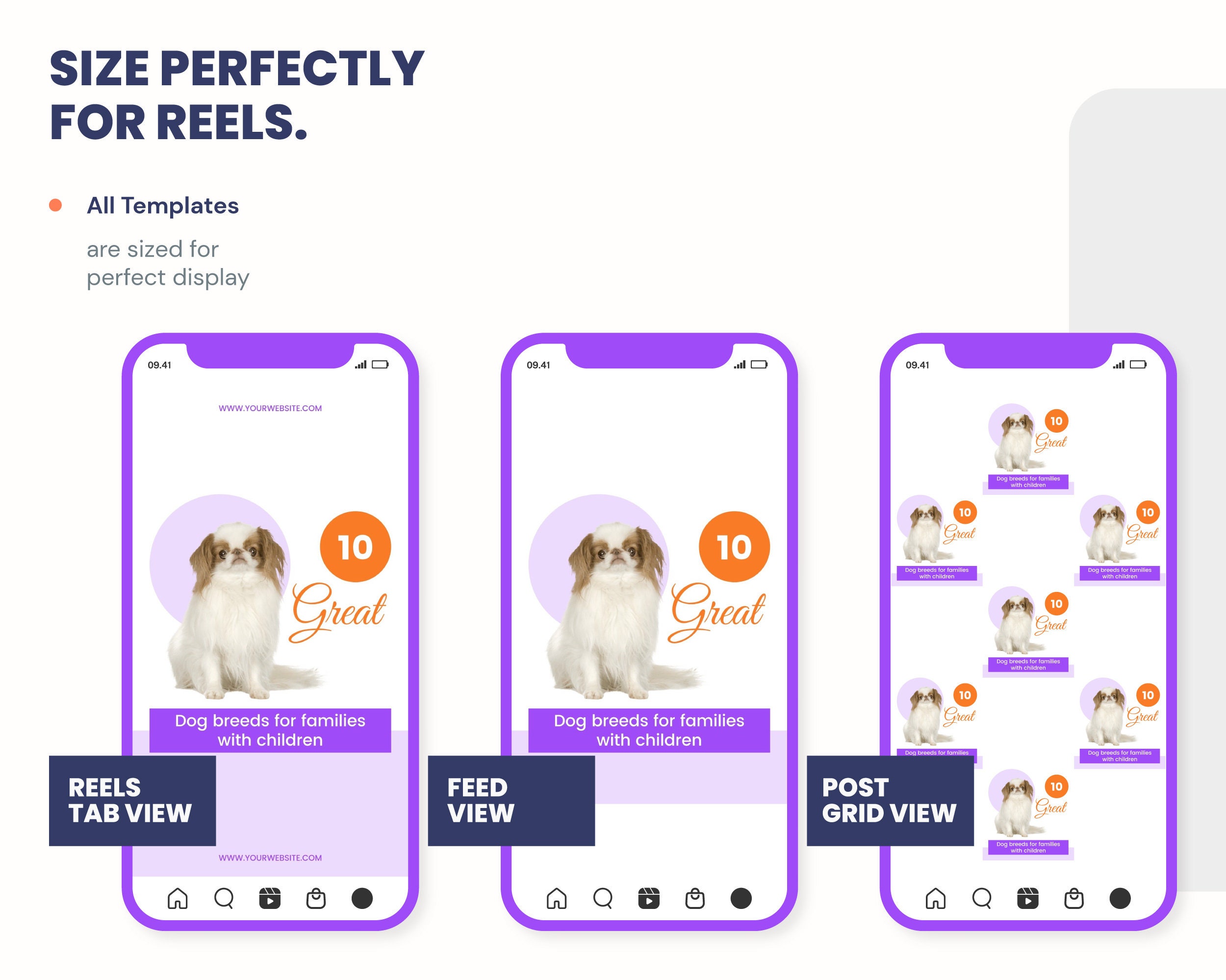 Pets Instagram Reels & Covers, Social Media Posts for Dog and Pet ...