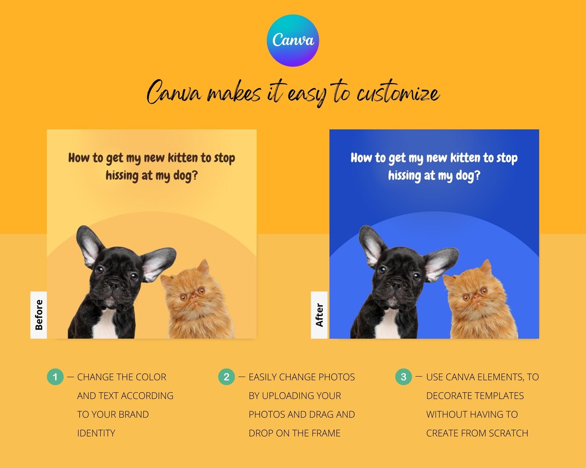 Pet Shop Instagram Content, Social Media Pet Engagement Question, Cat ...