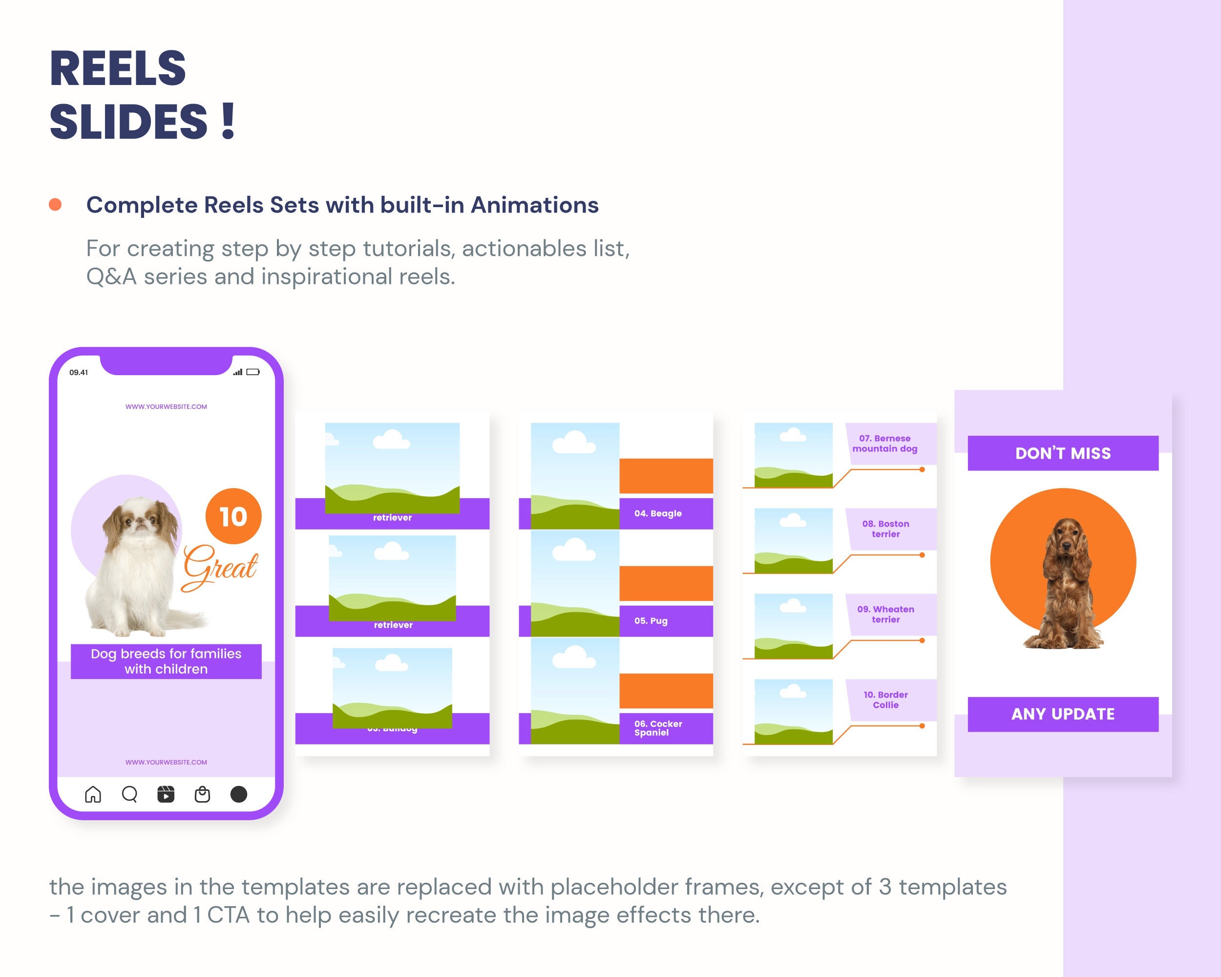 Pets Instagram Reels & Covers, Social Media Posts for Dog and Pet ...