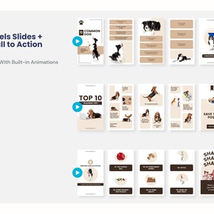 Pets Instagram Reels & Covers, Social Media Posts for Dog and Pet ...