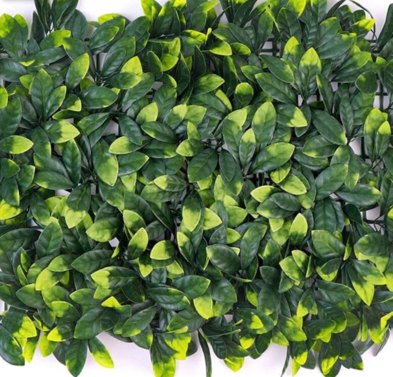 Faux Backdrop 12 Sq. Ft. Dual Tone Green Lemon Leaf Garden - Etsy