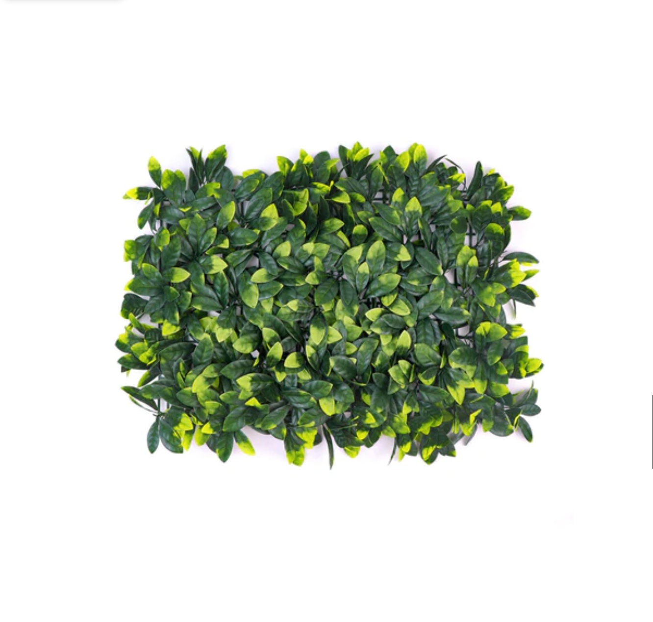 Faux Backdrop 12 Sq. Ft. Dual Tone Green Lemon Leaf Garden - Etsy