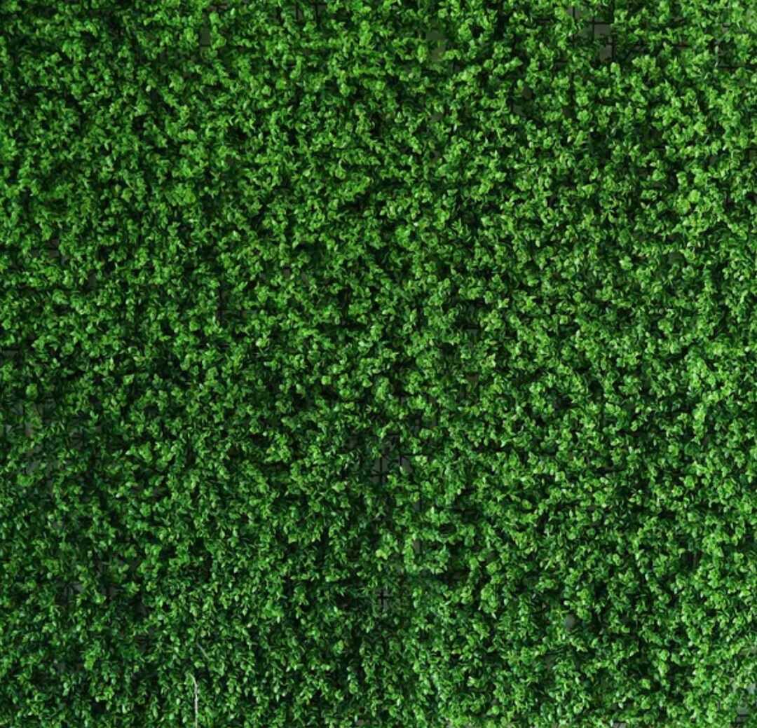 Faux Green Backdrop 11 Sq Ft. 4 Panels Baby Green Boxwood Hedge Garden ...