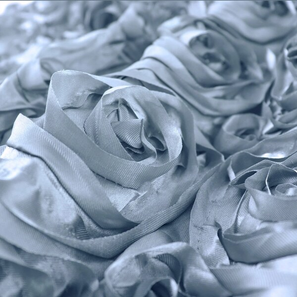 Rosette Backdrop - Etsy