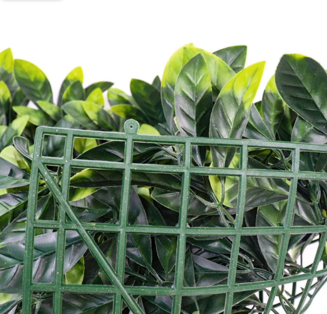 Faux Backdrop 12 Sq. Ft. Dual Tone Green Lemon Leaf Garden - Etsy