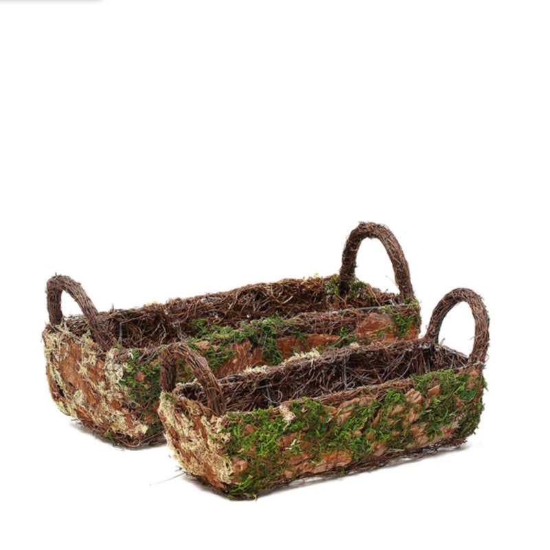 Moss Arrangement - Etsy