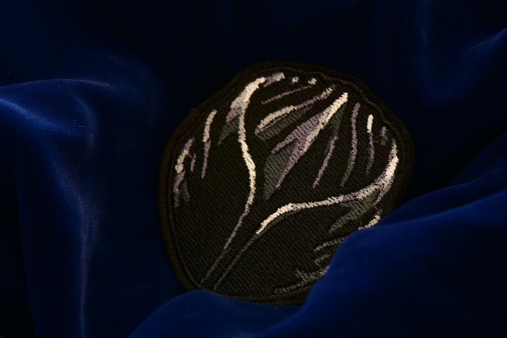 Hollow Knight Inspired Sharp Shadow Charm Embroidered Patch - Etsy