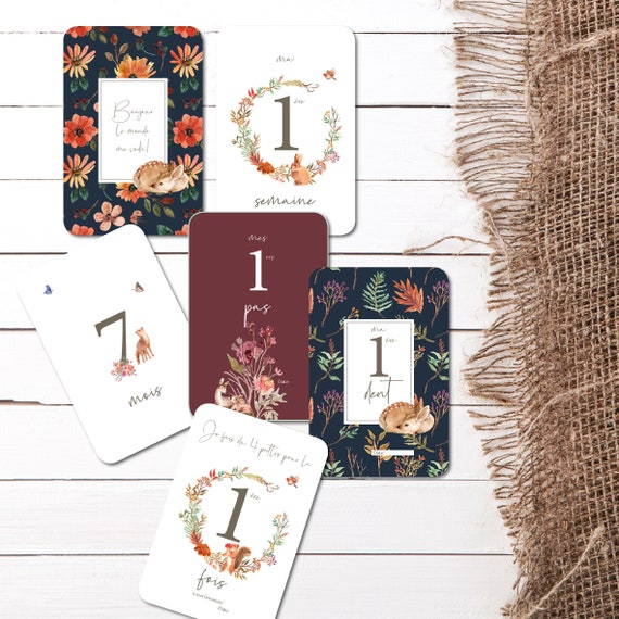 Step Cards Woodland Forest Animals Birth Baby Family - Etsy