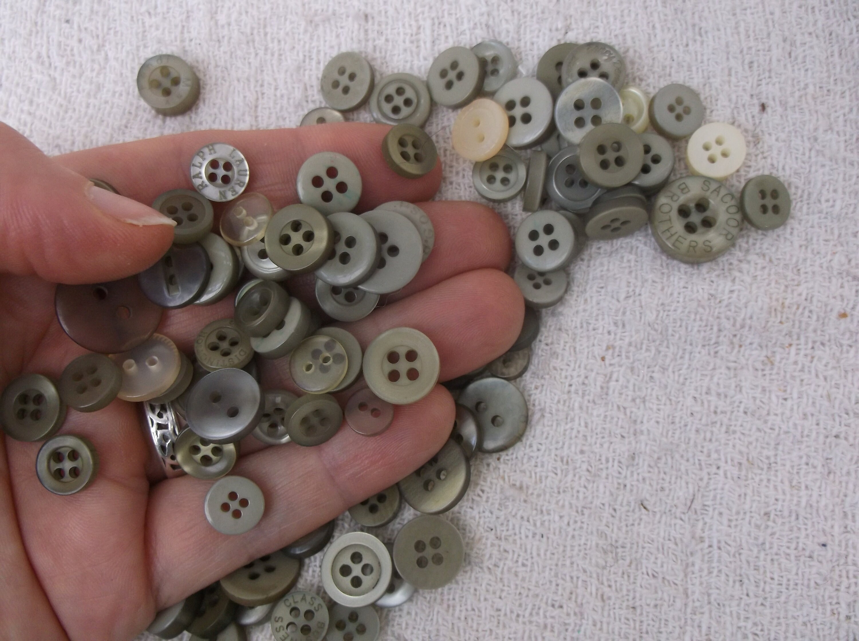 Small Fancy Vintage Buttons, Flat Buttons, Sage Green Craft Button ...