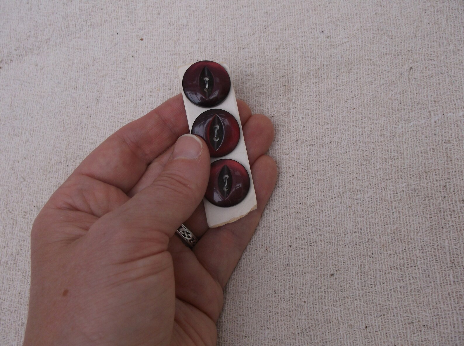 Two Hole Buttons Classic Flat Buttons Vintage Buttons on - Etsy Australia