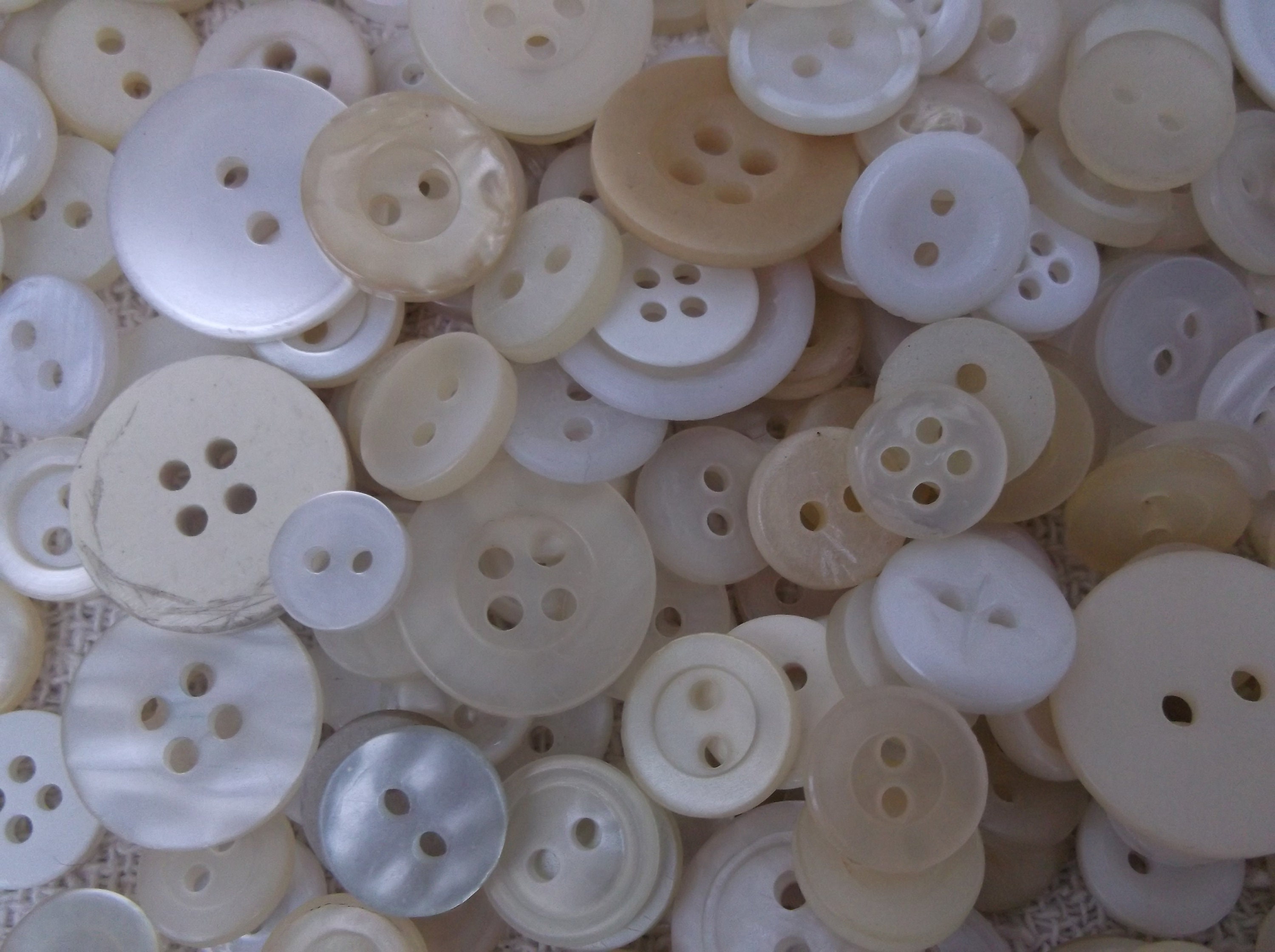 Small Basic Vintage Buttons, Flat Two and Four Buttons, White Craft ...