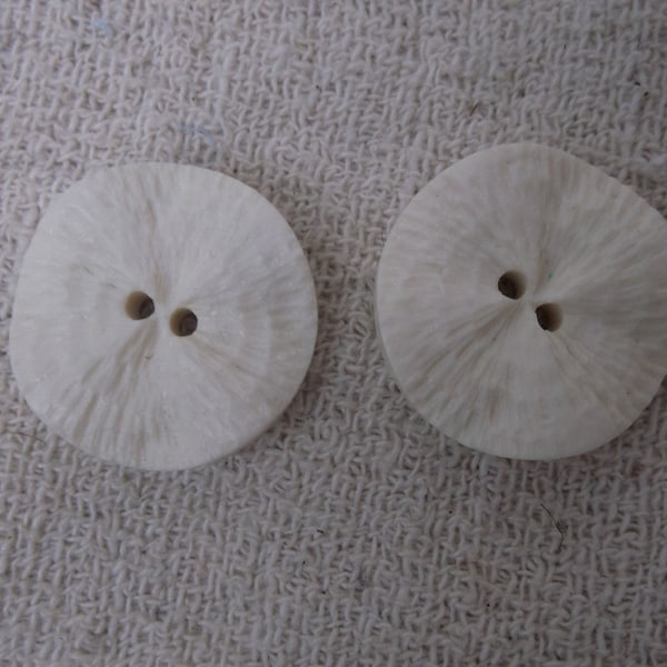 Buttons White - Etsy