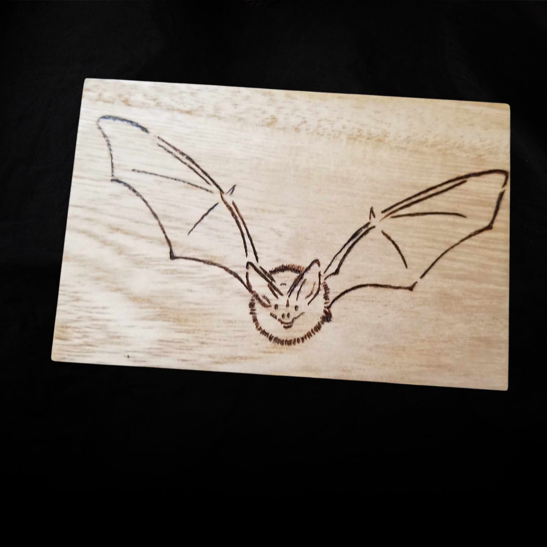 Bats Altar Ritual Box for Storage of Crystals, Treasures, Keepsakes ...