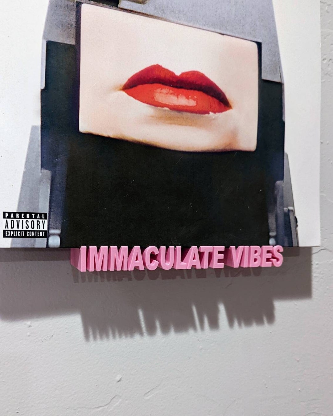 Immaculate Vibes | Wall Mounted Vinyl Record Display Shelf for Your ...