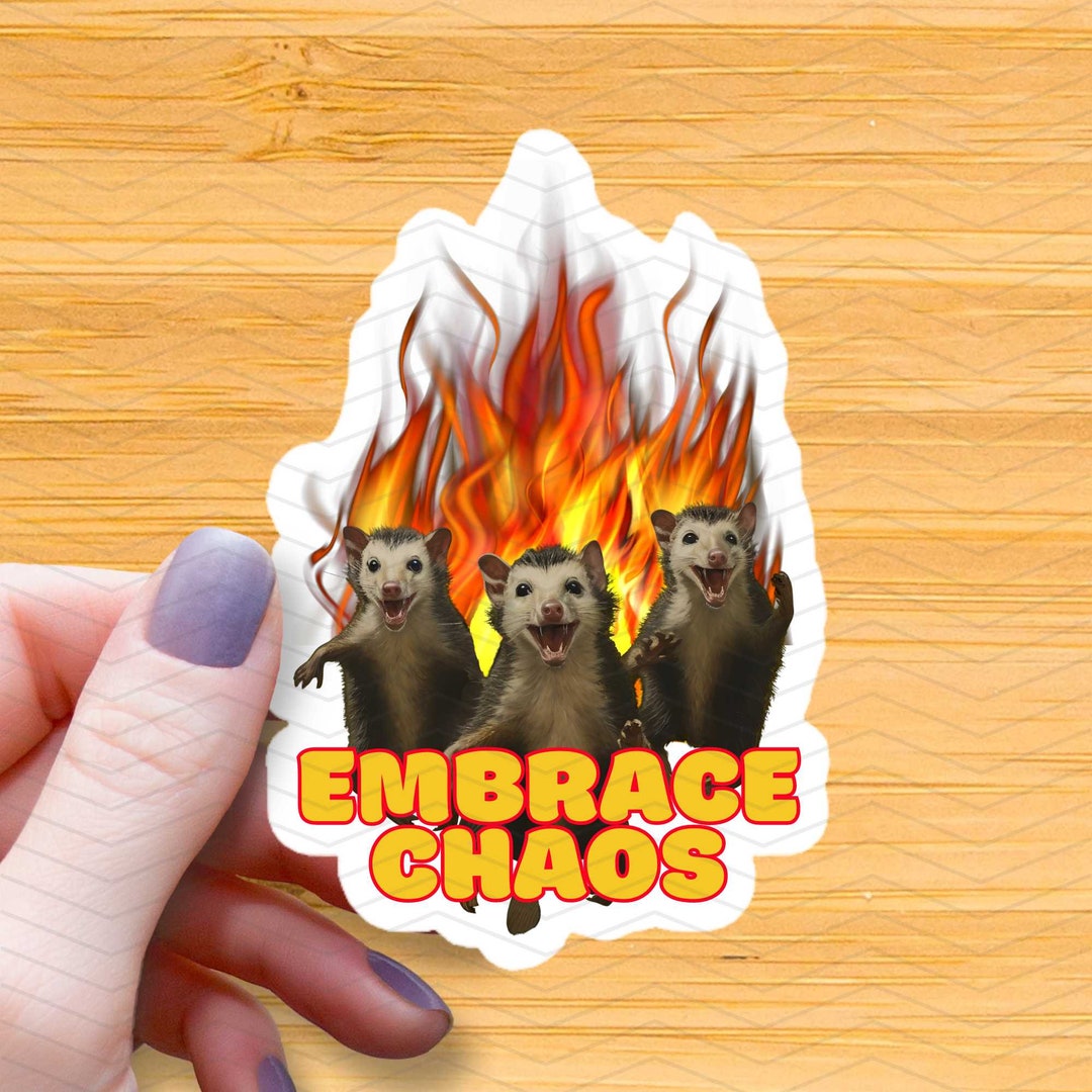 Opossum Embrace Chaos Waterproof Glossy Sticker, Opossum on Fire Meme ...