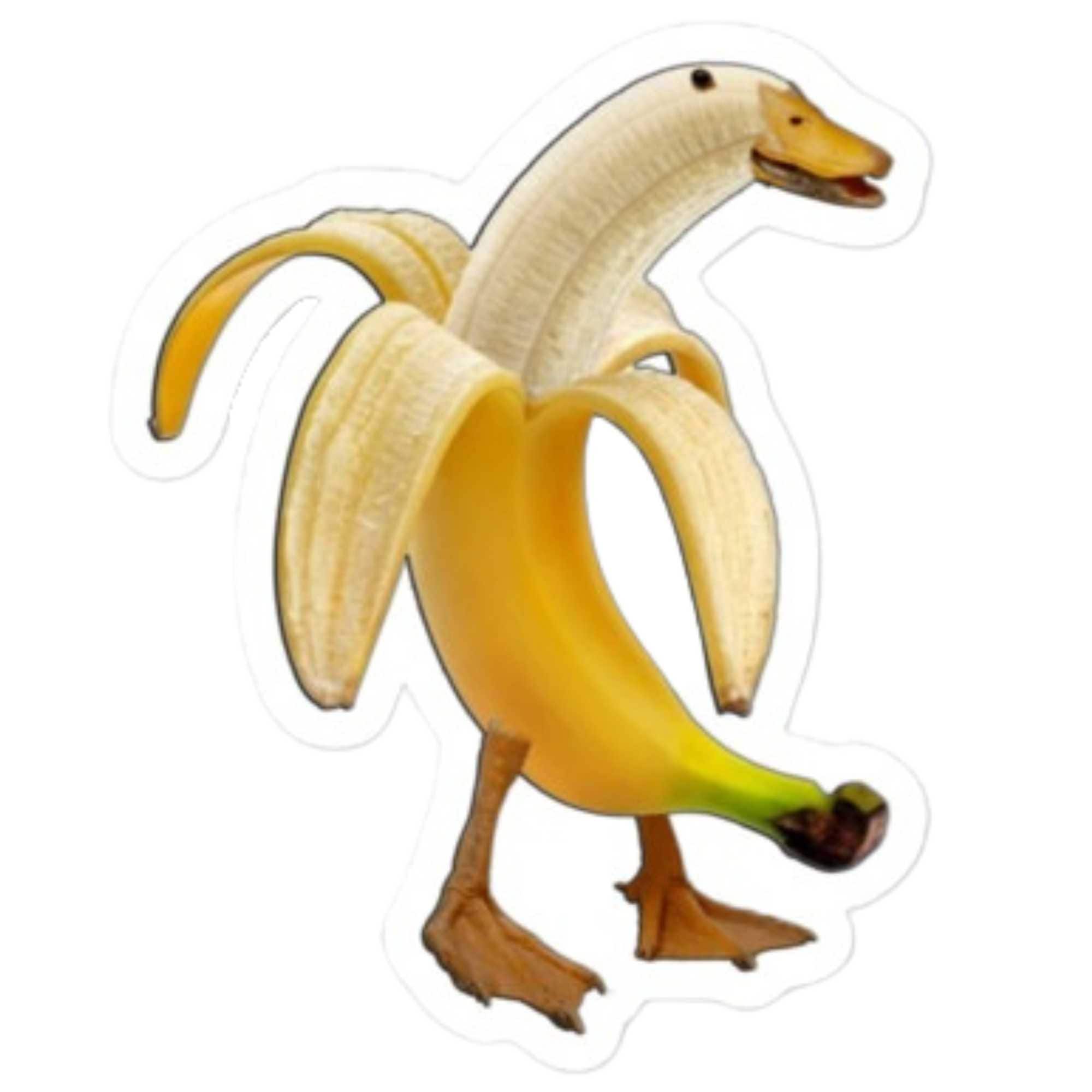 Banana Duck Because It's Funny Sticker, Funny Duck Meme Sticker sold by ...