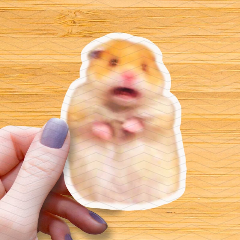 White Hamster Stickers - Etsy