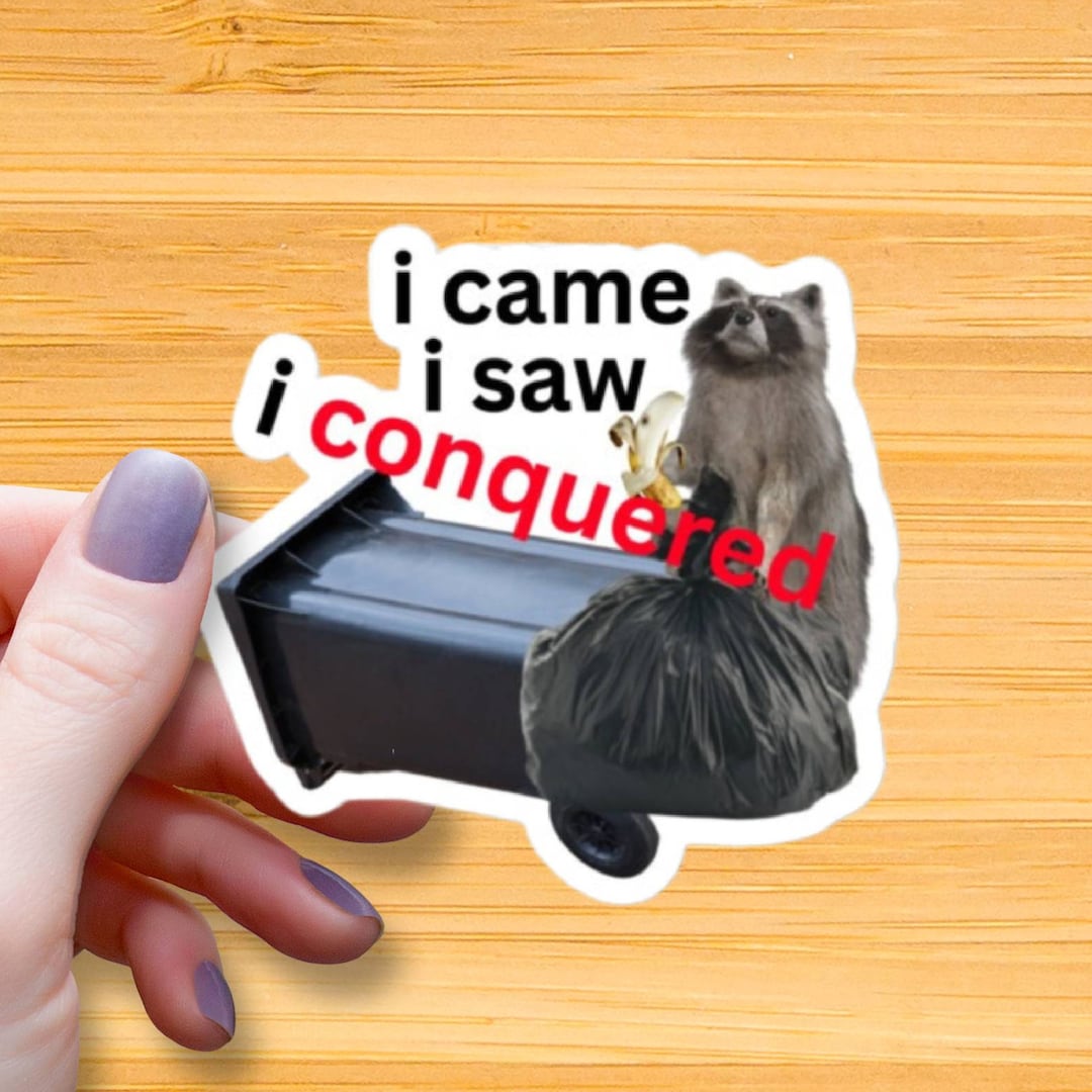 Raccoon I Came I Saw I Conquered Waterproof Glossy Sticker, Choose ...