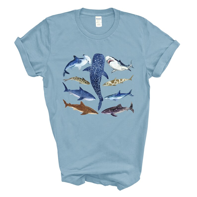Shark Shirt Cottagecore Shirt Shark Species Tee Great White - Etsy