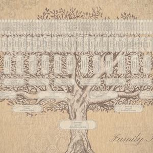 7 Generation Family Tree Template 20x28inch, PDF File Instant Download ...