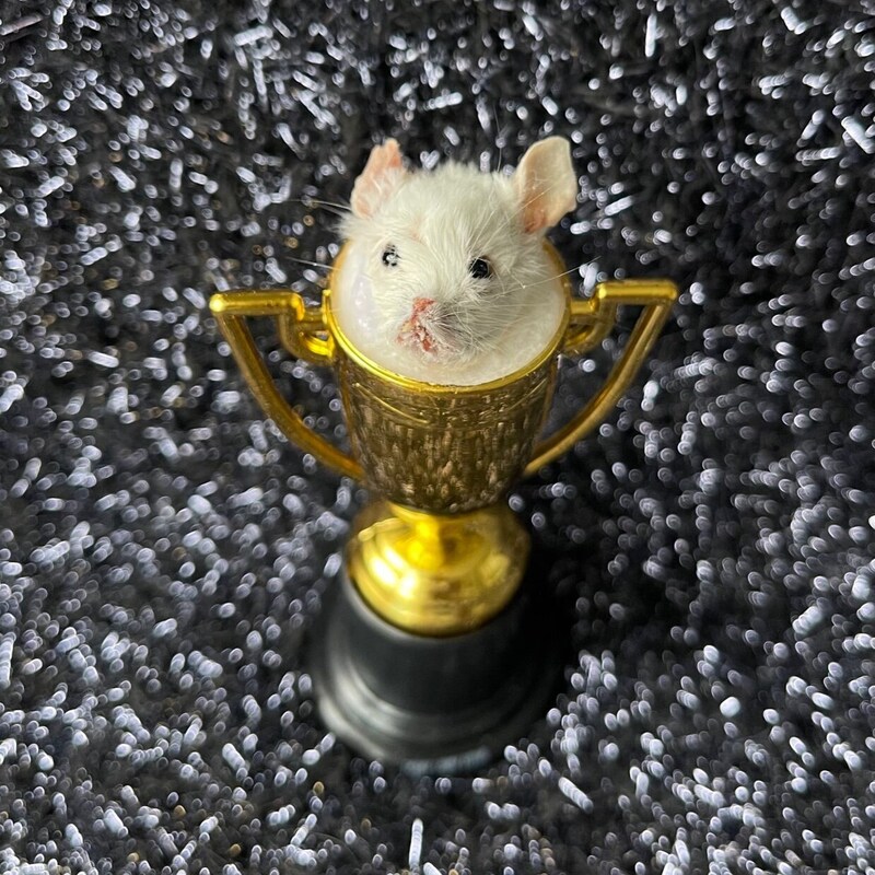 Animal Trophy - Etsy