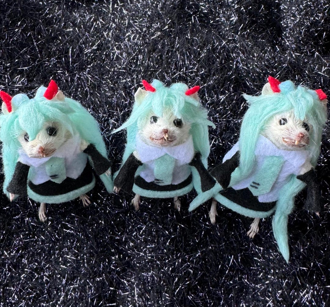 MADE TO ORDER Taxidermy Mouse *miku* - Etsy
