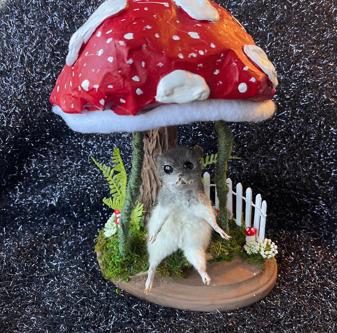 Taxidermy Small Rat mushroom Swing - Etsy