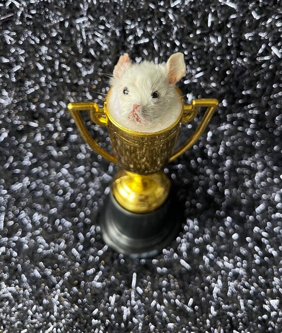Taxidermy Trophy Mouse | Etsy