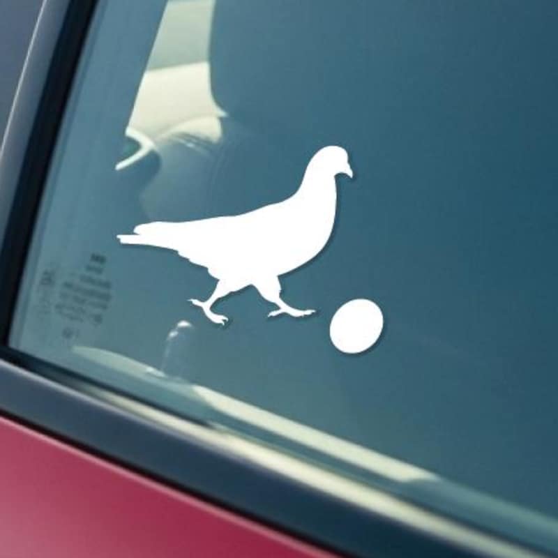 Pigeon Decal Car Sticker - Etsy