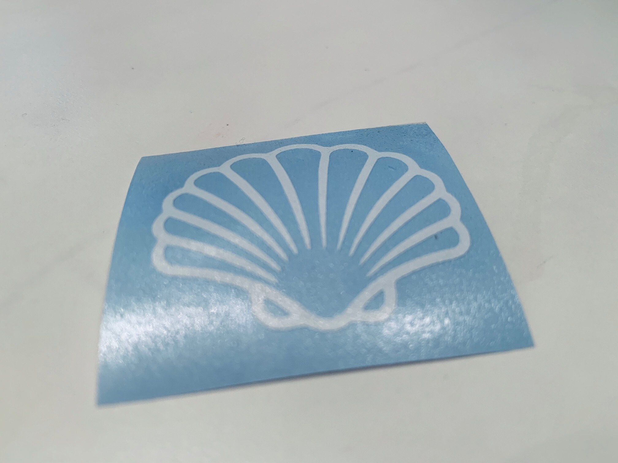 Clam ShellSeashell DecalCar StickerLaptop StickerBeach | Etsy