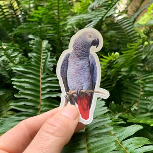 Craft Supplies & Tools Scrapbooking Outdoor Quality 1-3pc Package ...