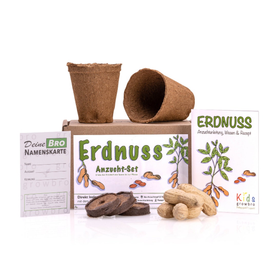 Growbro Kids Peanut Cultivation Set OUR CHILDREN'S EXPLORER SET, Simply ...