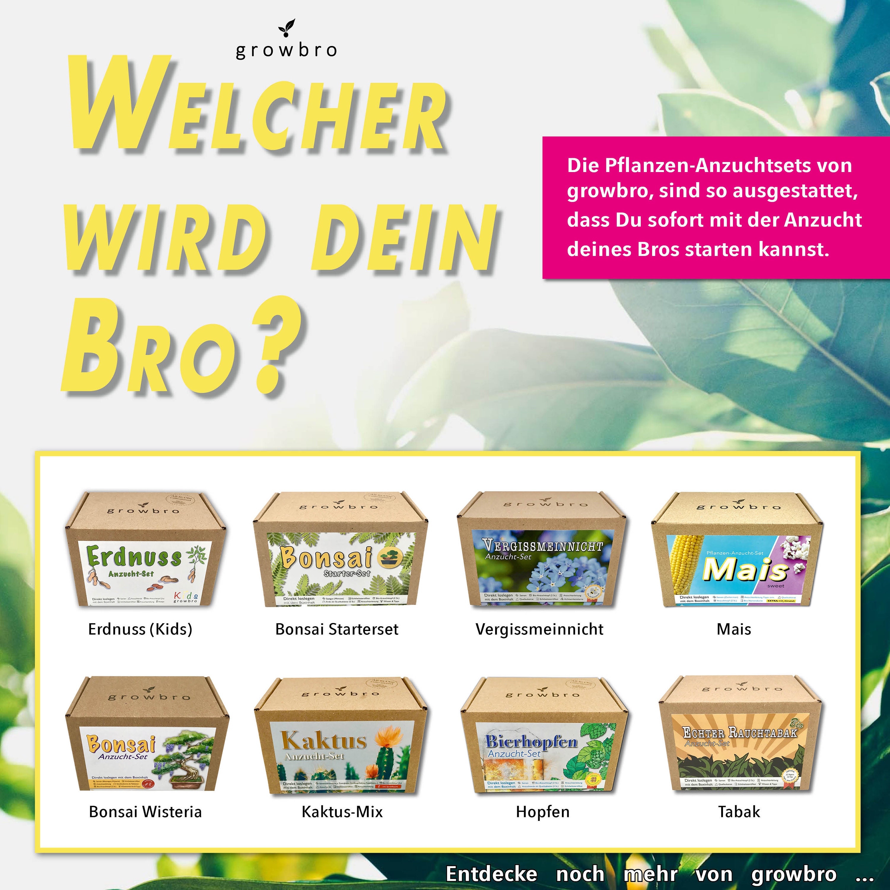 Growbro Kakteen Anzuchtset inkl. Sprühflasche | Etsy