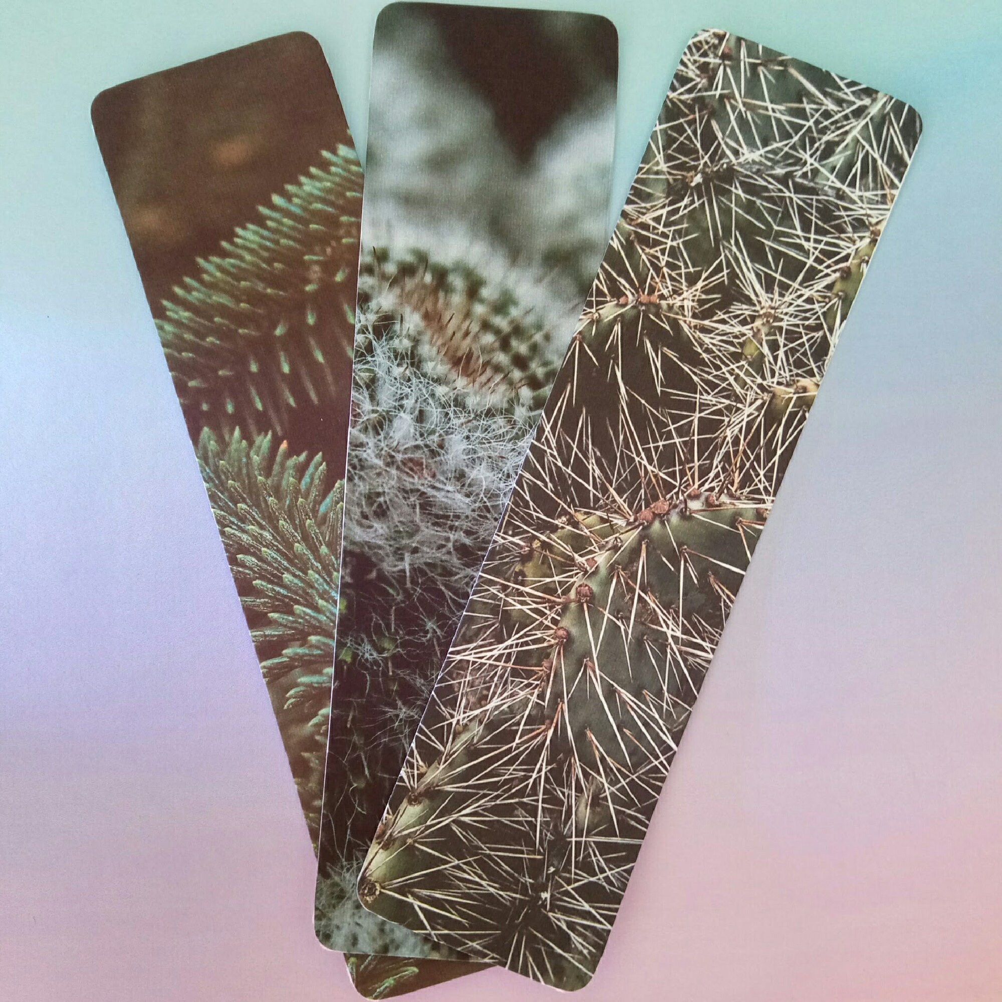 Bookmarks Paper Set Cactus Succulents Forest Trees Plants 3 - Etsy UK