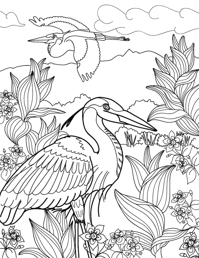 The Wildlife Scenery Coloring Book Download Printable Coloring Pages - Etsy