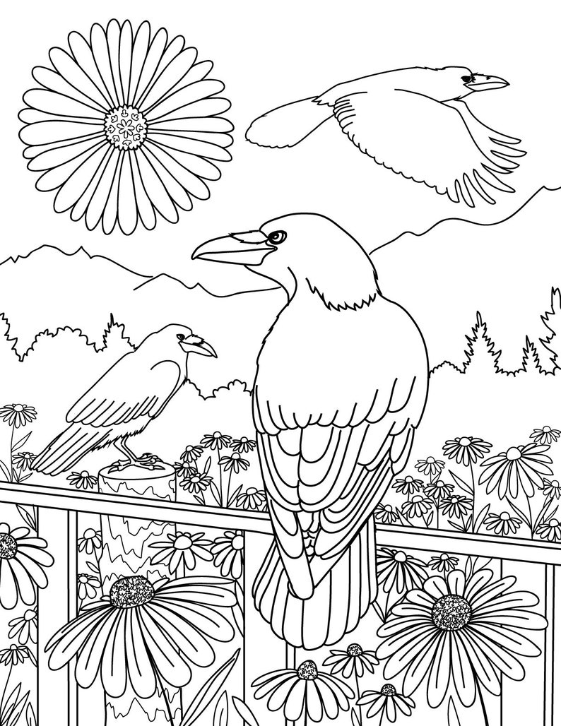 The Wildlife Scenery Coloring Book Download Printable Coloring Pages - Etsy