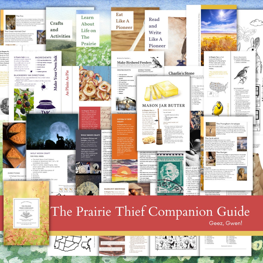 Prairie Thief Companion Guide Perfect for Kids Book Clubs or Homeschool ...