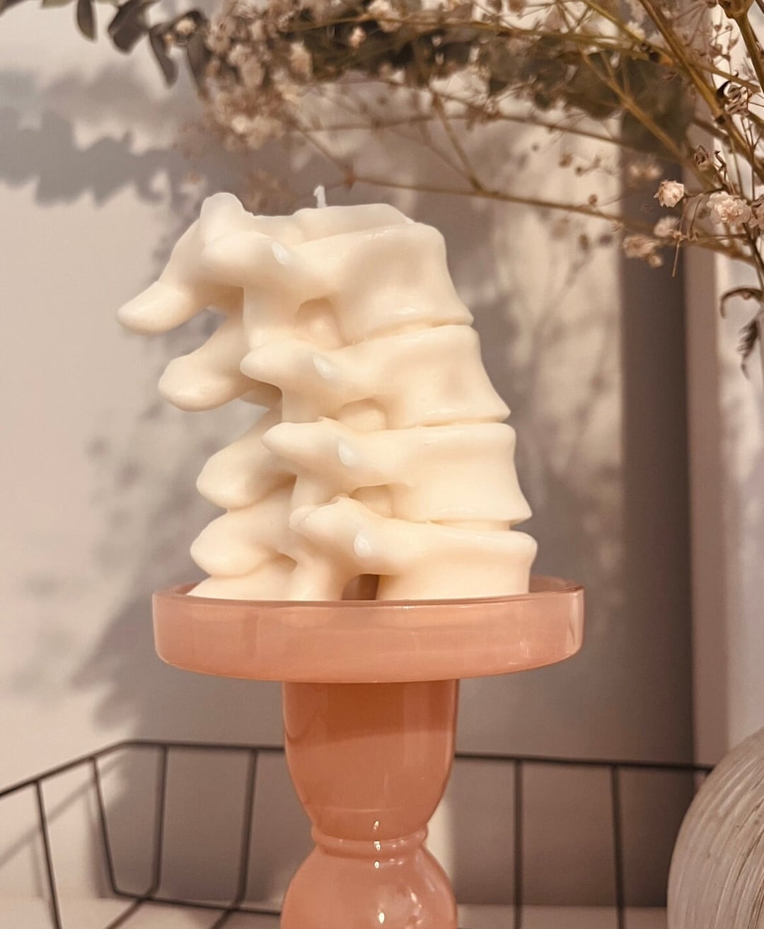 Spine Candle/ Chiropractor Gift/chiropractic Student Gift/halloween ...