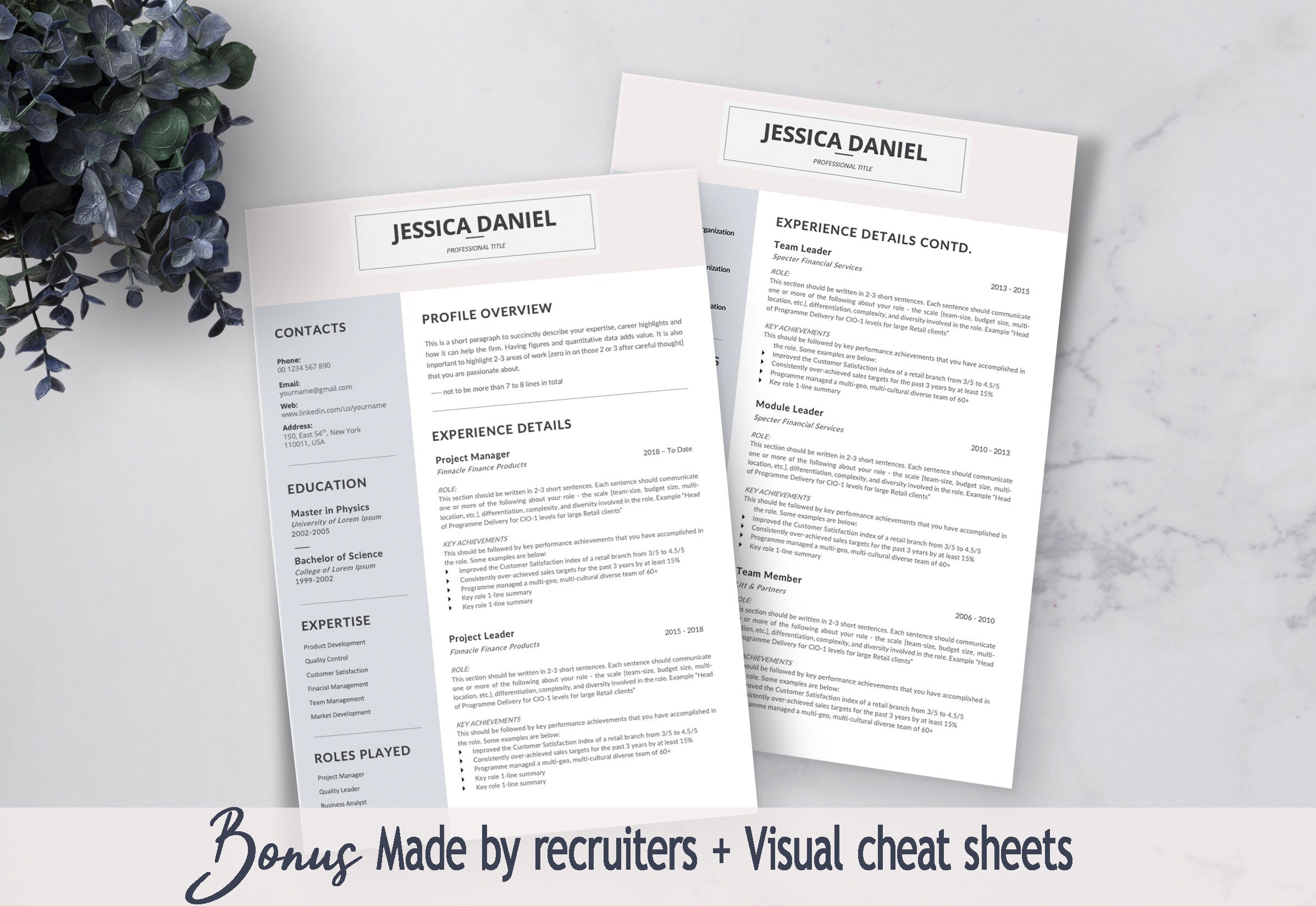 Technical Resume Template for Word, Project Manager Resume, Modern ...