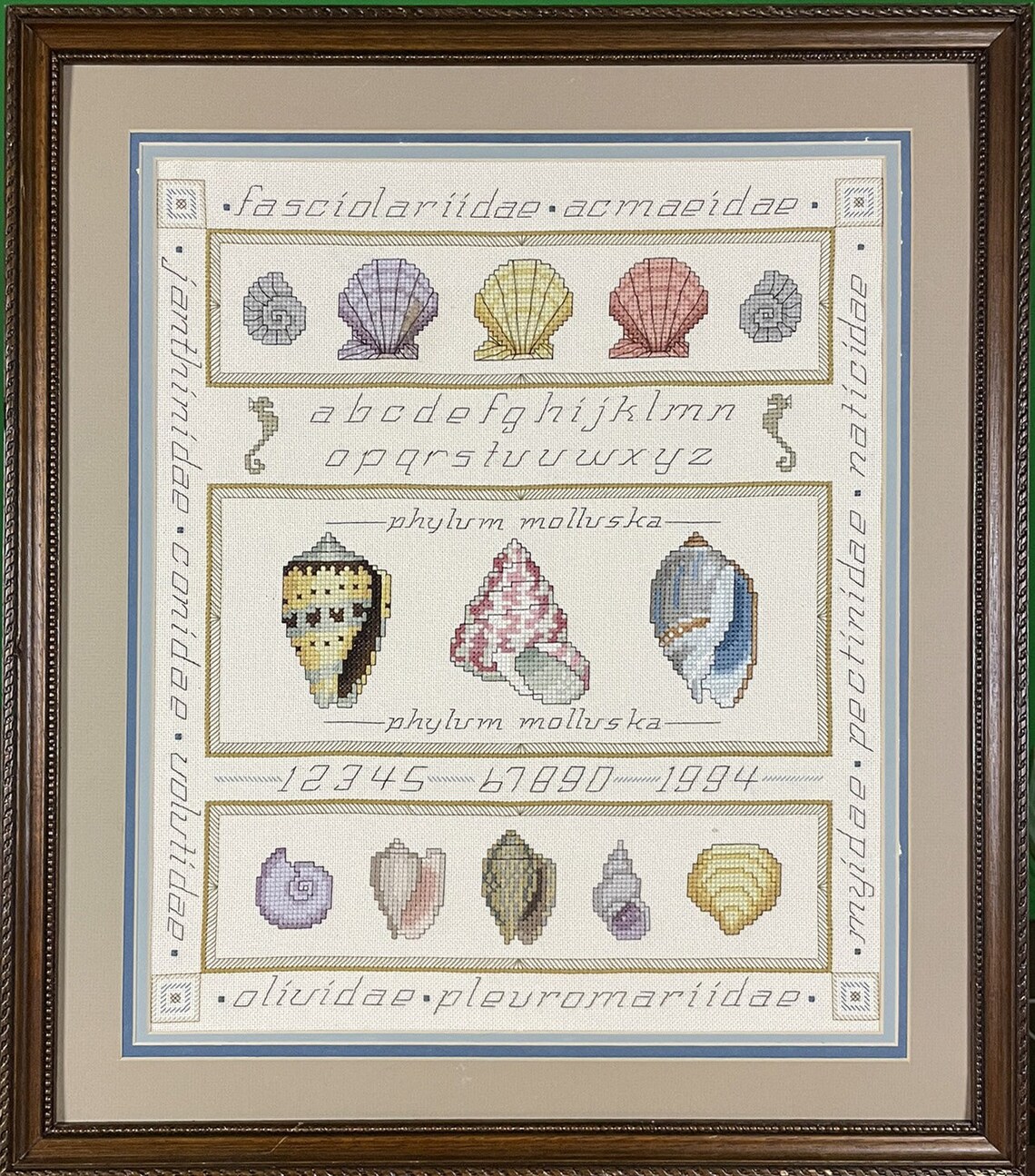 Annie's Sea Shells Cross Stitch Chart Collection - PDF Downloas - Etsy